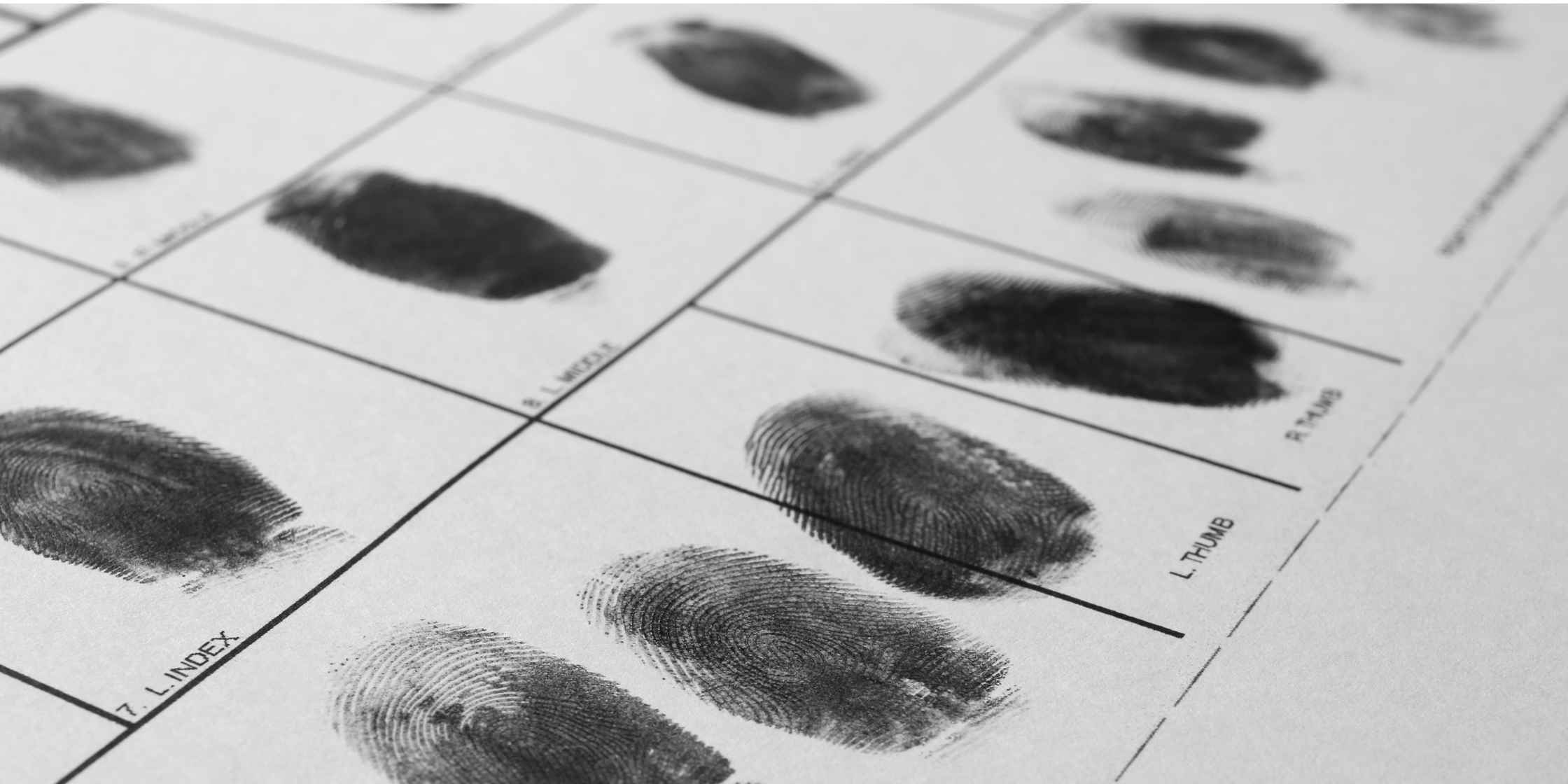 Deciphering Colorado's Most Common Felony Charges| Maher and Maher Law ...